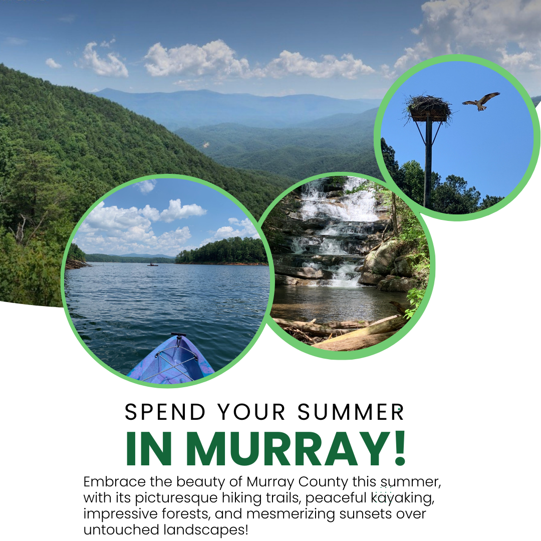 Visit Murray - Food Truck Frenzy